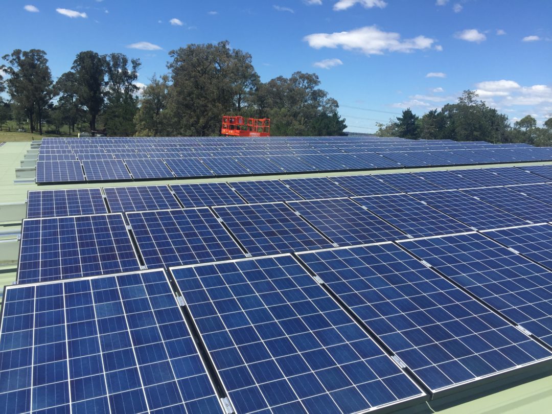 Pepe's Ducks - Energy & Carbon Solutions